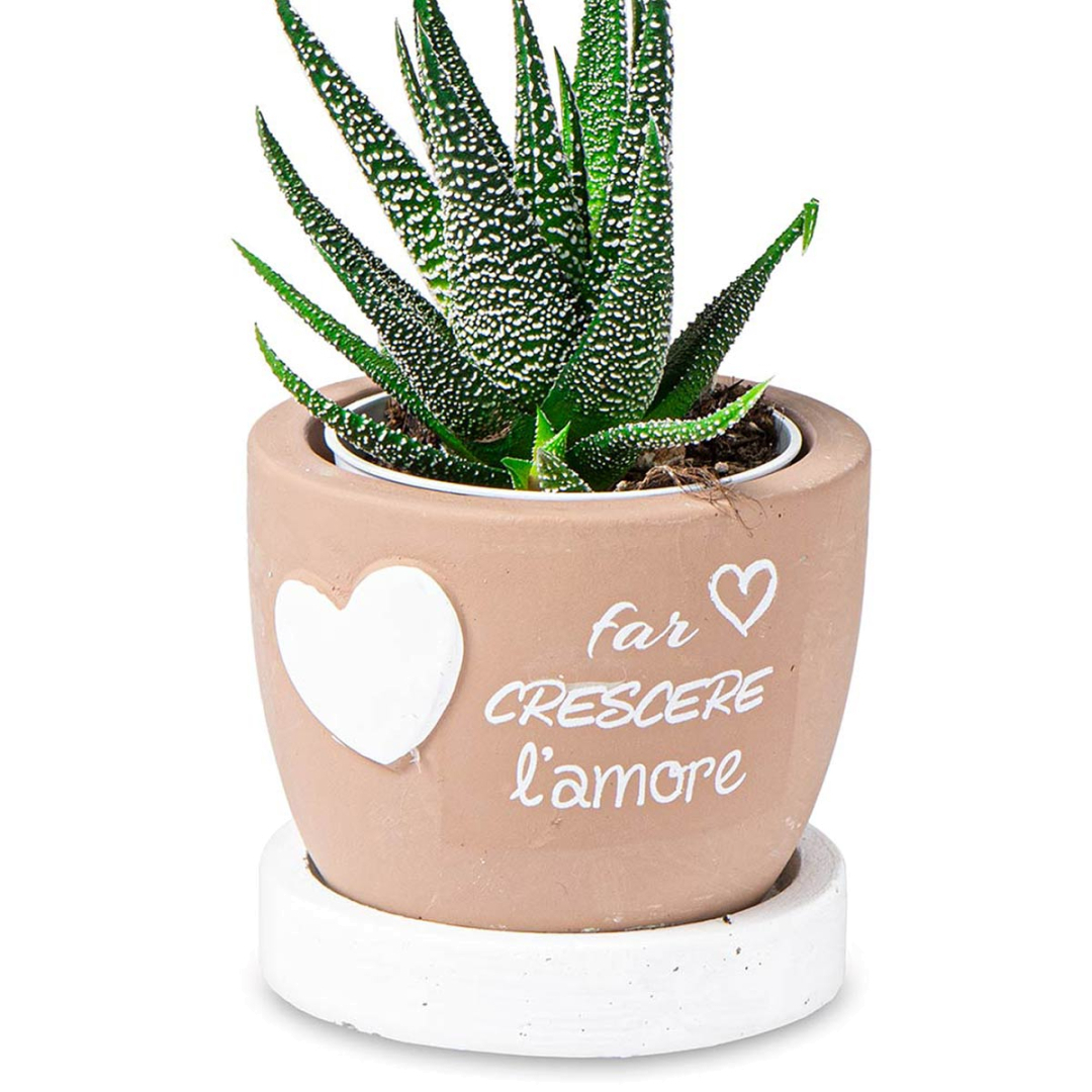 Bomboniere 2024 Linea L'Amore Vasi Portapiantine con